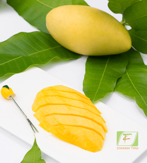 Trang chủ - Công Ty Cổ Phần Tập Đoàn Xuất - Nhập Khẩu Trái Cây Chánh Thu